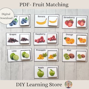 Fruit Matching Task Box Activity Set for Toddlers, Preschool ...