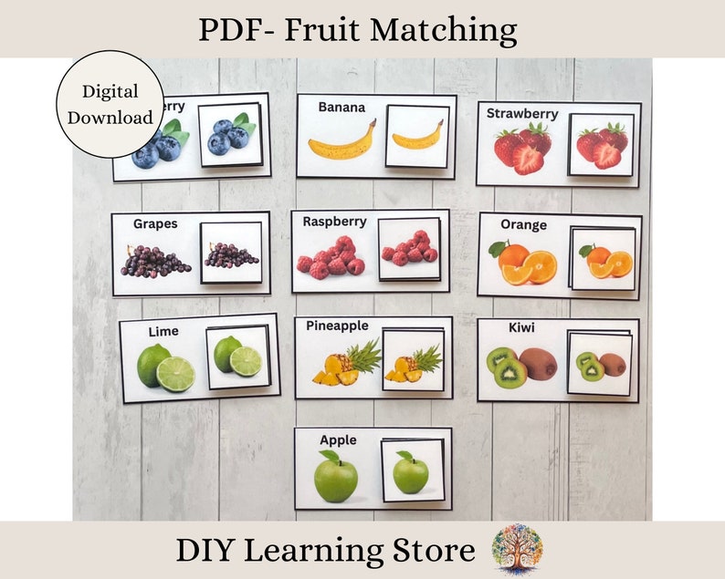 Fruit Matching- Task Box Activity Set- for Toddlers, Preschool ...