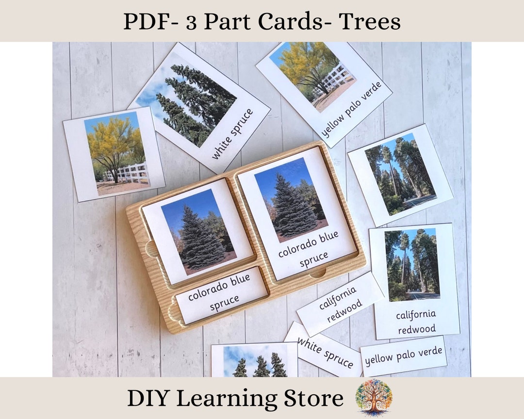 Trees- Montessori 3 Part Flash Cards- Real Pictures- Editable PDF ...