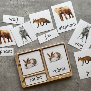 Animals- Montessori 3 Part Flash Cards- Montessori Toys and Games- Real ...