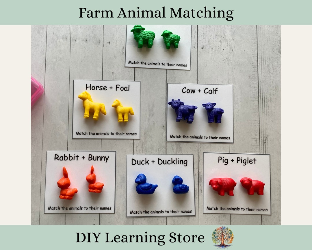 Farm Animals Task Box Activity Set- Montessori Learning Toy for ...