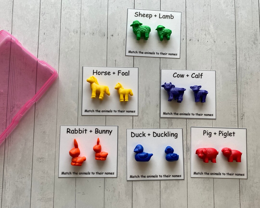 Farm Animals Task Box Activity Set Montessori Learning Toy for ...