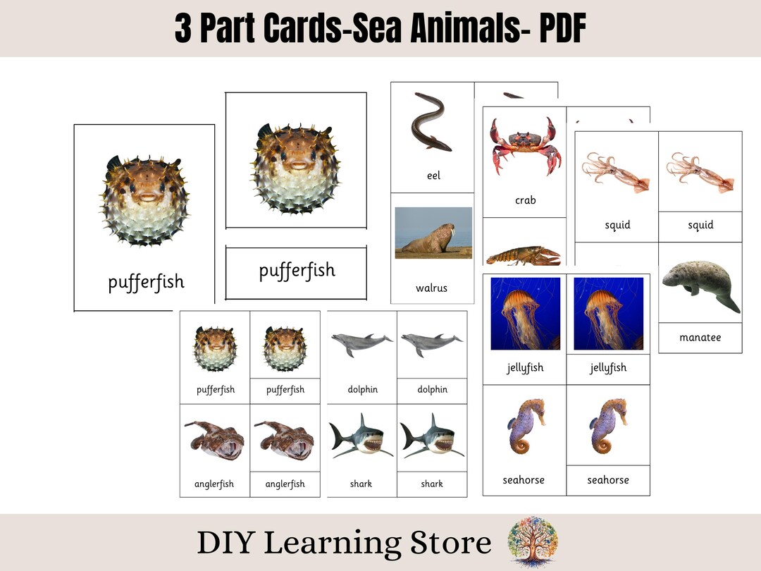 3 Part Cards- Sea Animals- Montessori Nomenclature Cards- Flash Cards ...