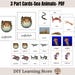 Body Parts- Montessori 3 Part Flash Card Set - Real Pictures ...