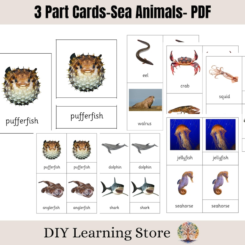 Animal Flash Cards - Etsy