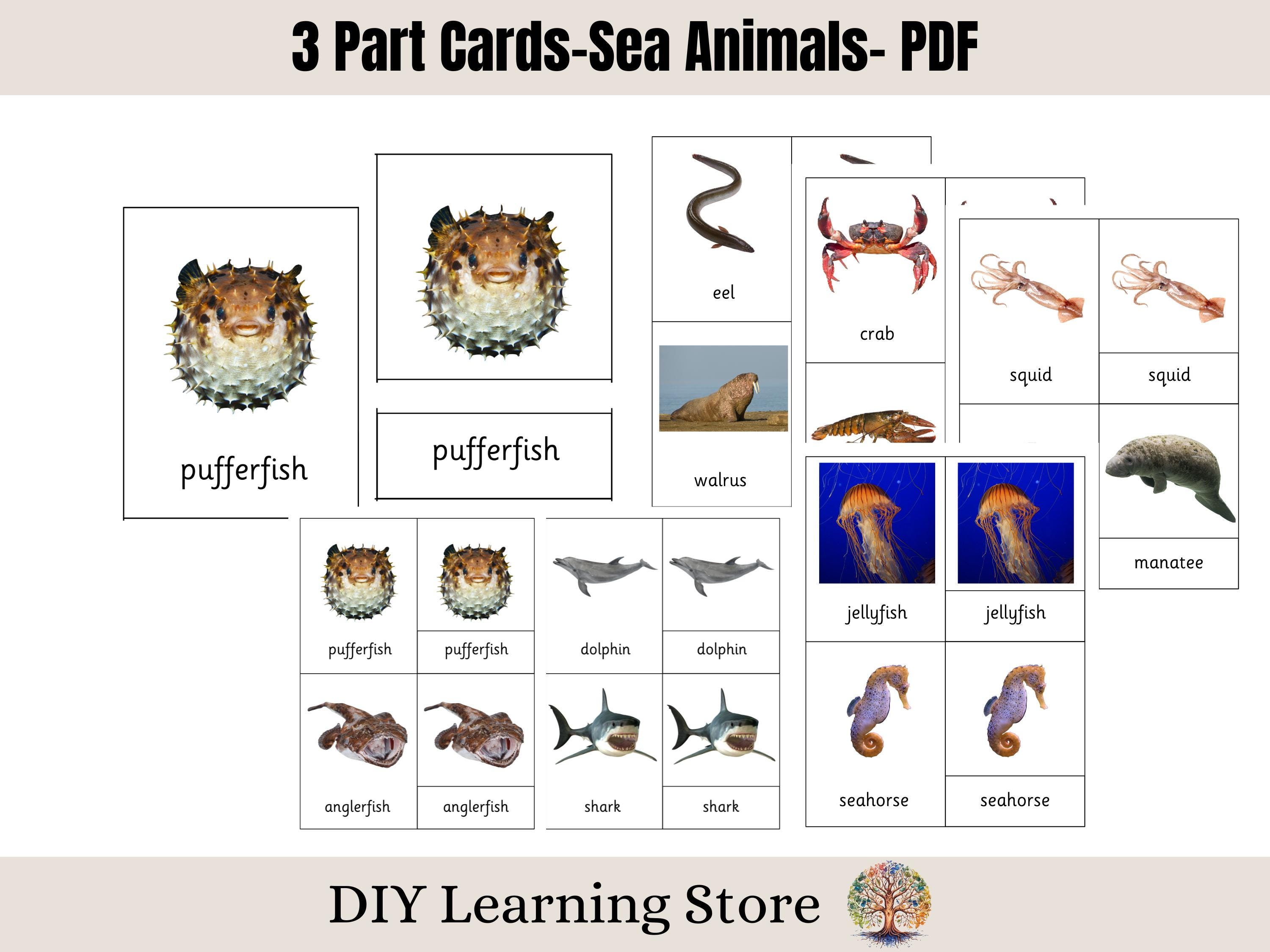 3 Part Cards- Sea Animals- Montessori Nomenclature Cards- Flash Cards ...