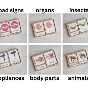 3 Part Cards Mega Bundle- 20 Themes- Nomenclature Cards- Montessori ...