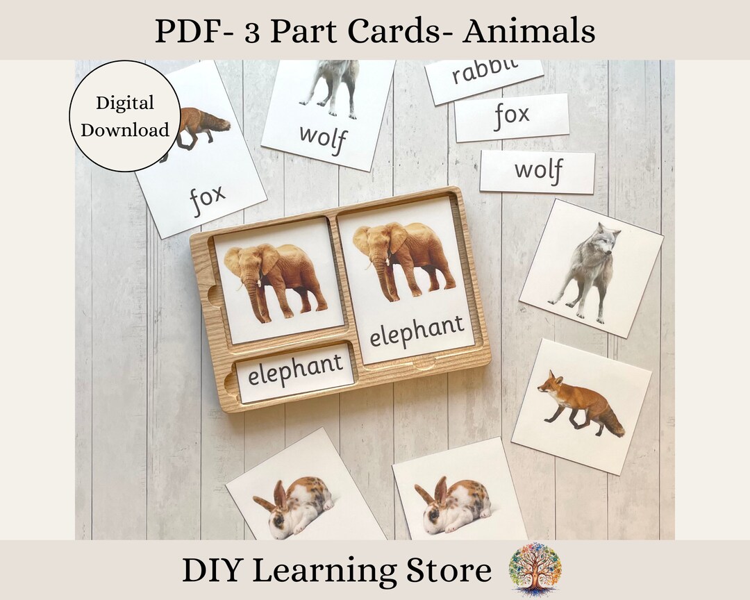 Animals- Montessori 3 Part Flash Cards- Montessori Toys and Games- Real ...