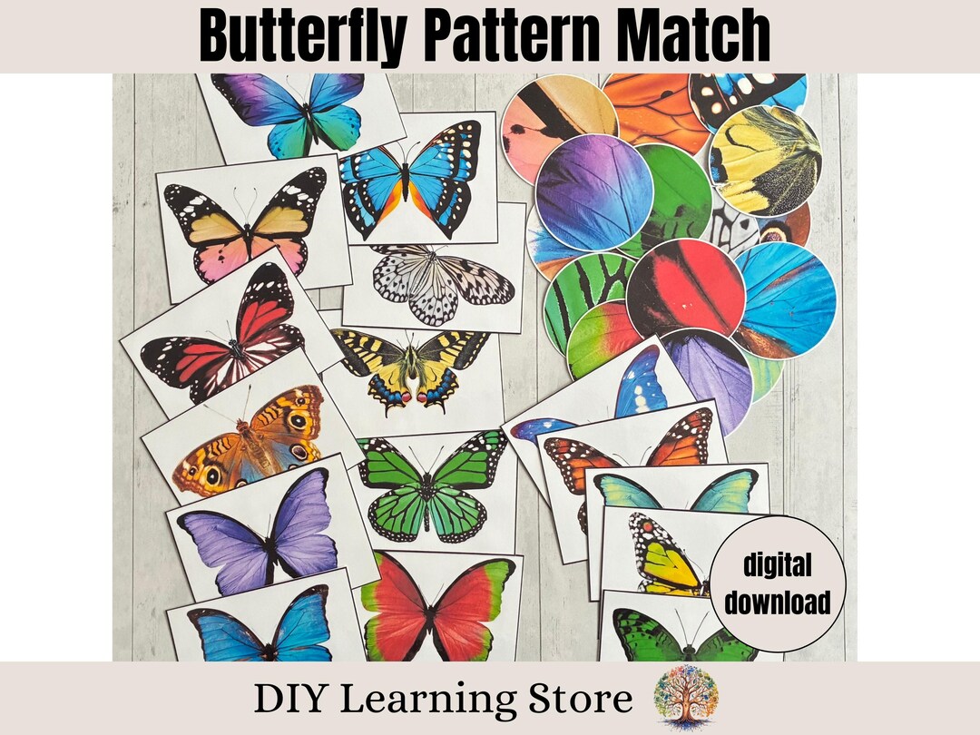 Butterfly Patterns- Summer Themed Activity Cards- Preschool Homeschool ...