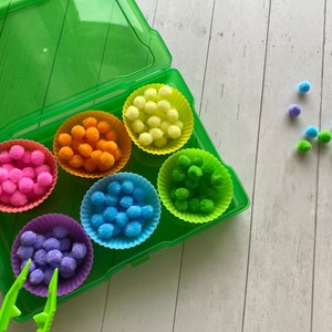 Counting and Color Sorting With Mini Poms Task Box Activity Set ...
