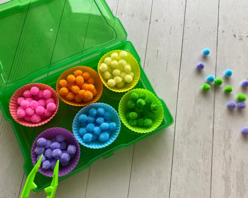 Counting and Color Sorting With Mini Poms Task Box Activity Set ...