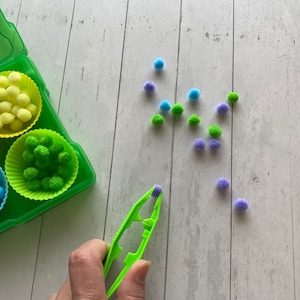 Counting and Color Sorting With Mini Poms Task Box Activity Set ...