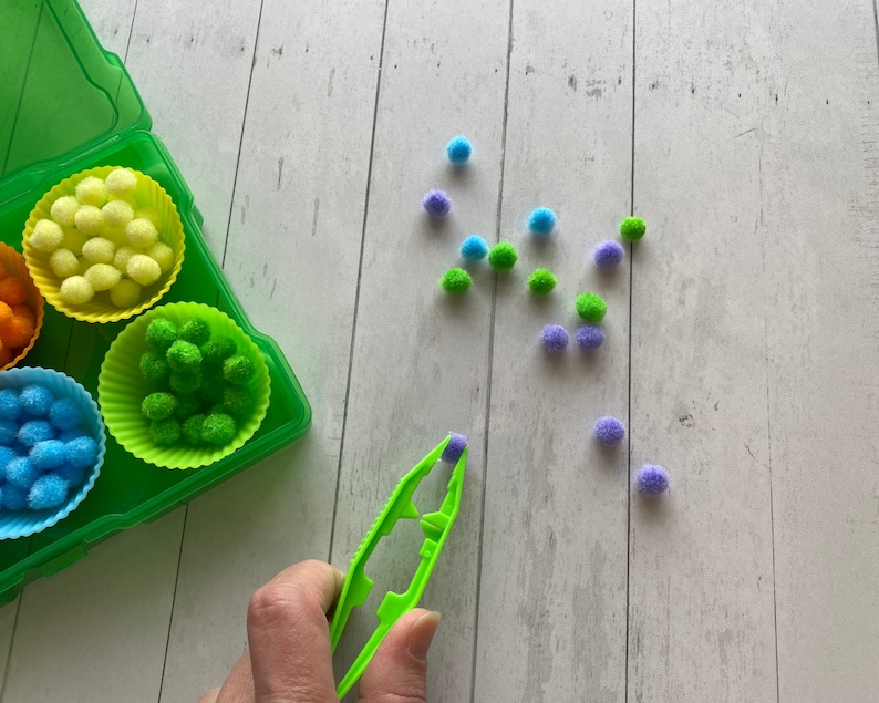 Counting and Color Sorting With Mini Poms Task Box Activity Set ...