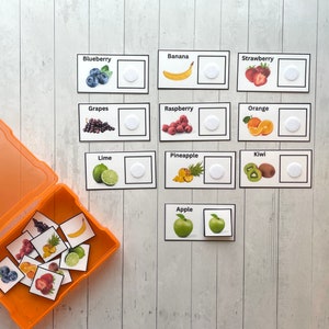 Fruit Matching- Task Box Activity Set- for Toddlers, Preschool ...