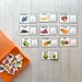 Fruit Matching- Task Box Activity Set- for Toddlers, Preschool ...