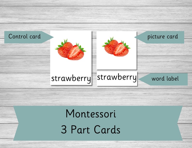 Body Parts- Montessori 3 Part Flash Card Set - Real Pictures ...