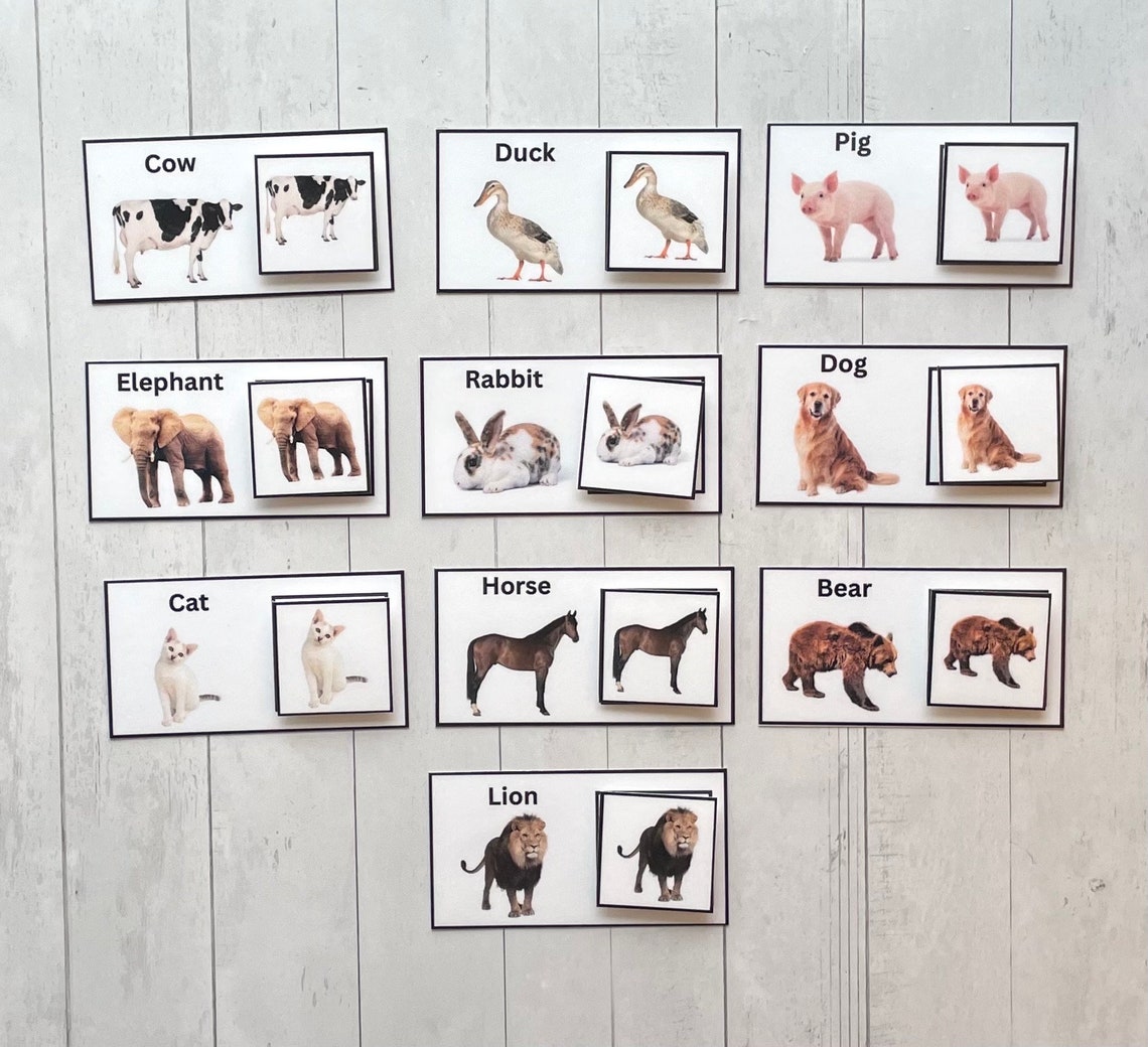 Animal Matching- Task Box Activity Set- for Preschool, Toddlers ...
