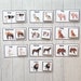 Animal Matching- Task Box Activity Set- for Preschool, Toddlers ...