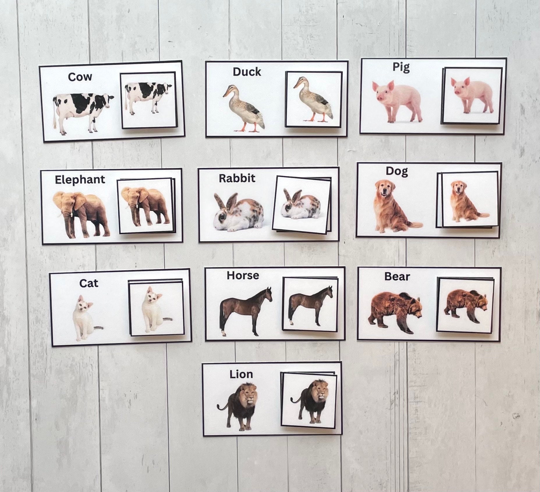 Animal Matching- Task Box Activity Set- for Preschool, Toddlers ...