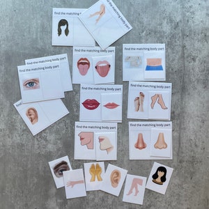 Body Parts Matching- Life Skills Activity Set- Multiple Difficulty ...