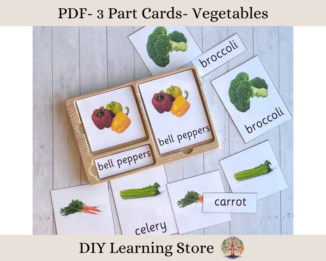 Vegetables-montessori 3 Part Flash Cards- Montessori Toys and Games ...