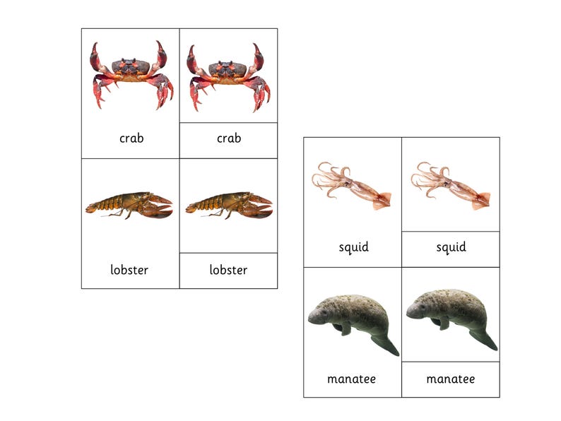 3 Part Cards- Sea Animals- Montessori Nomenclature Cards- Flash Cards ...