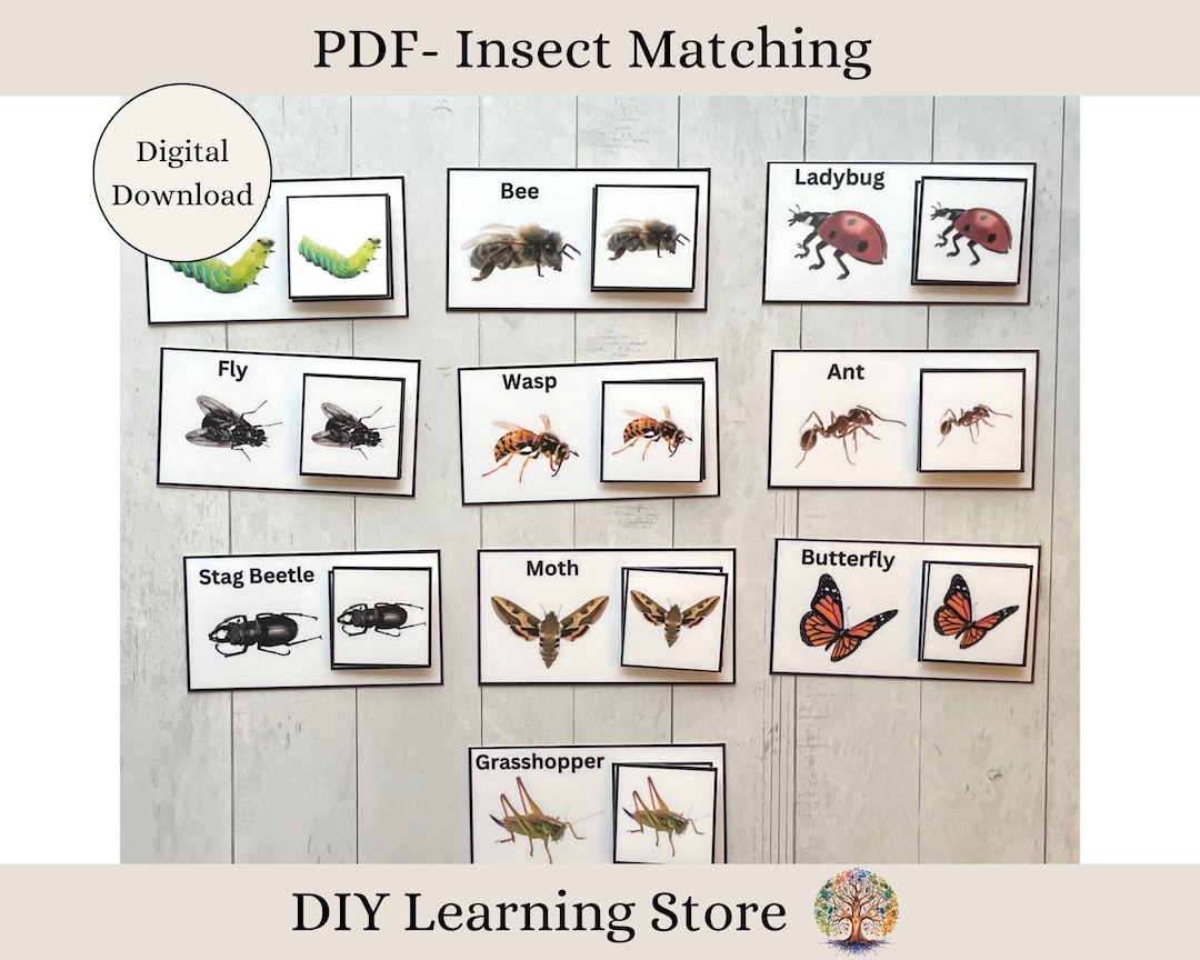 PDF Insect Matching Task Box Activity Set for Toddlers, Preschool ...