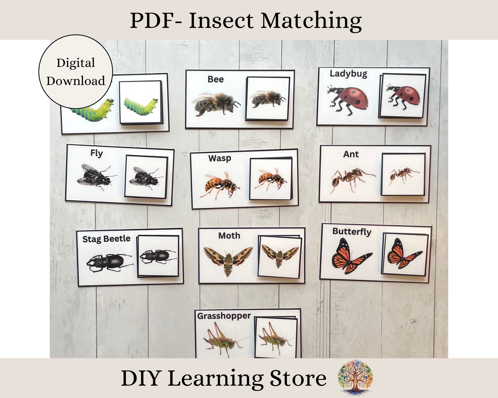 Insect Matching- Task Box Activity Set- for Toddlers, Preschool ...