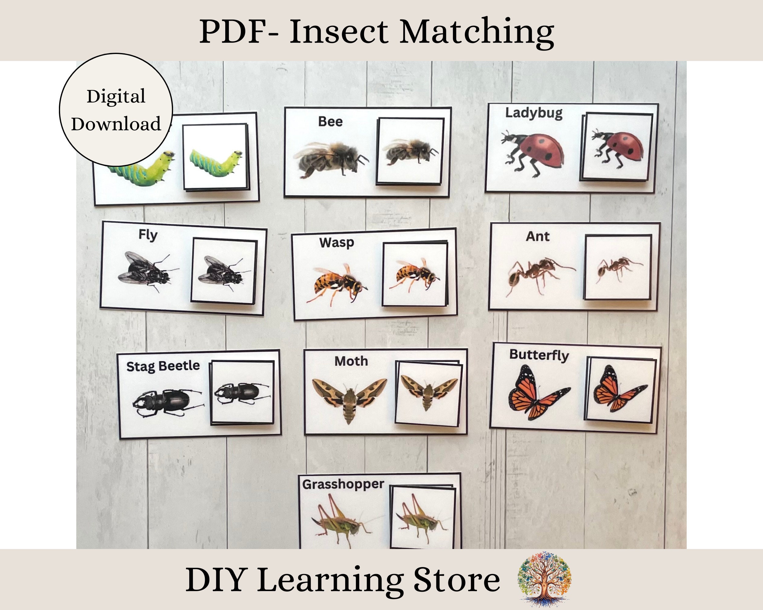 Insect Matching- Task Box Activity Set- for Toddlers, Preschool ...