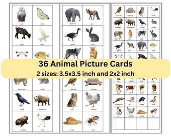 WILD Animals Poster With Real Pictures Animal (Instant Download) - Etsy