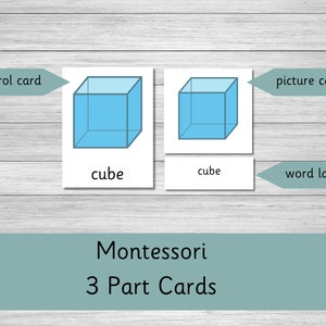 2D Shapes- Montessori 3 Part Flash Cards- Instant Download- Editable ...