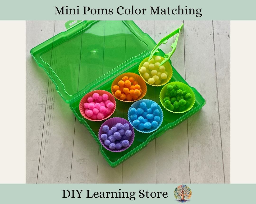 Counting and Color Sorting With Mini Poms Task Box Activity Set ...