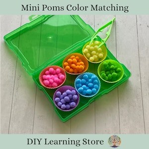 Counting and Color Sorting With Mini Poms Task Box Activity Set ...