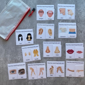 PDF Body Parts Matching Life Skills Activity Set Multiple Difficulty ...