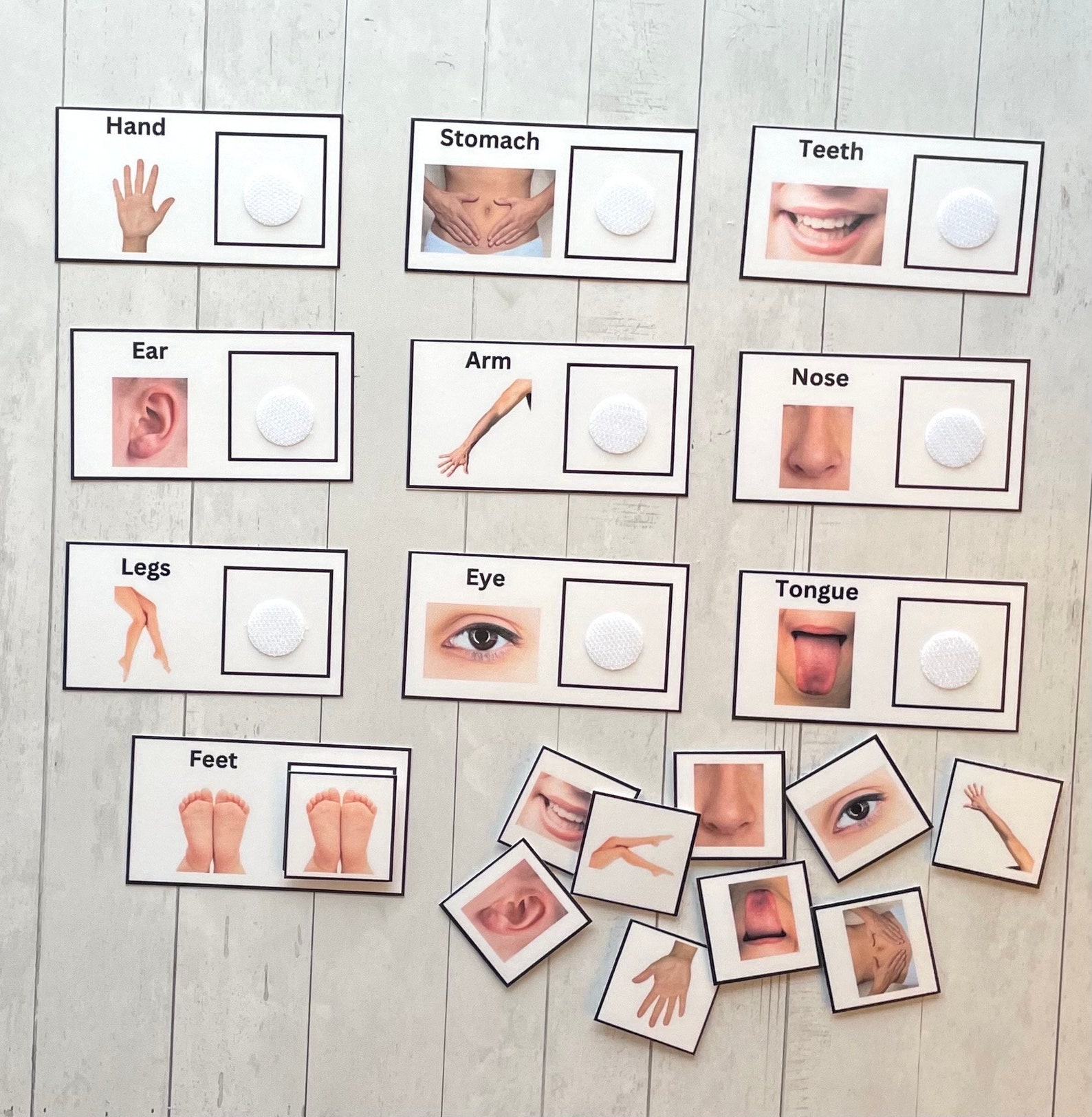 Body Parts Matching- Task Box Activity Set- for Toddlers, Preschool ...