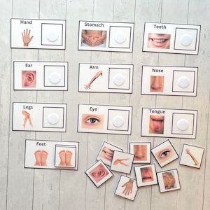Body Parts Matching- Task Box Activity Set- for Toddlers, Preschool ...