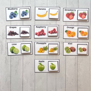 Fruit Matching- Task Box Activity Set- for Toddlers, Preschool ...