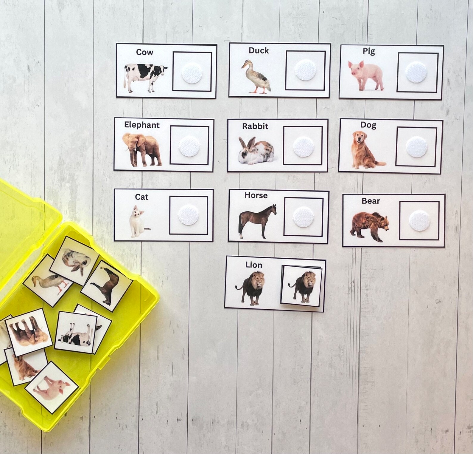 Animal Matching- Task Box Activity Set- for Preschool, Toddlers ...
