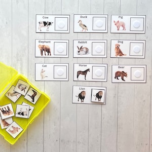 Animal Matching- Task Box Activity Set- for Preschool, Toddlers ...