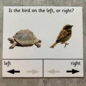 Left or Right- Life Skills Activity Set- Montessori Learning Toy for ...