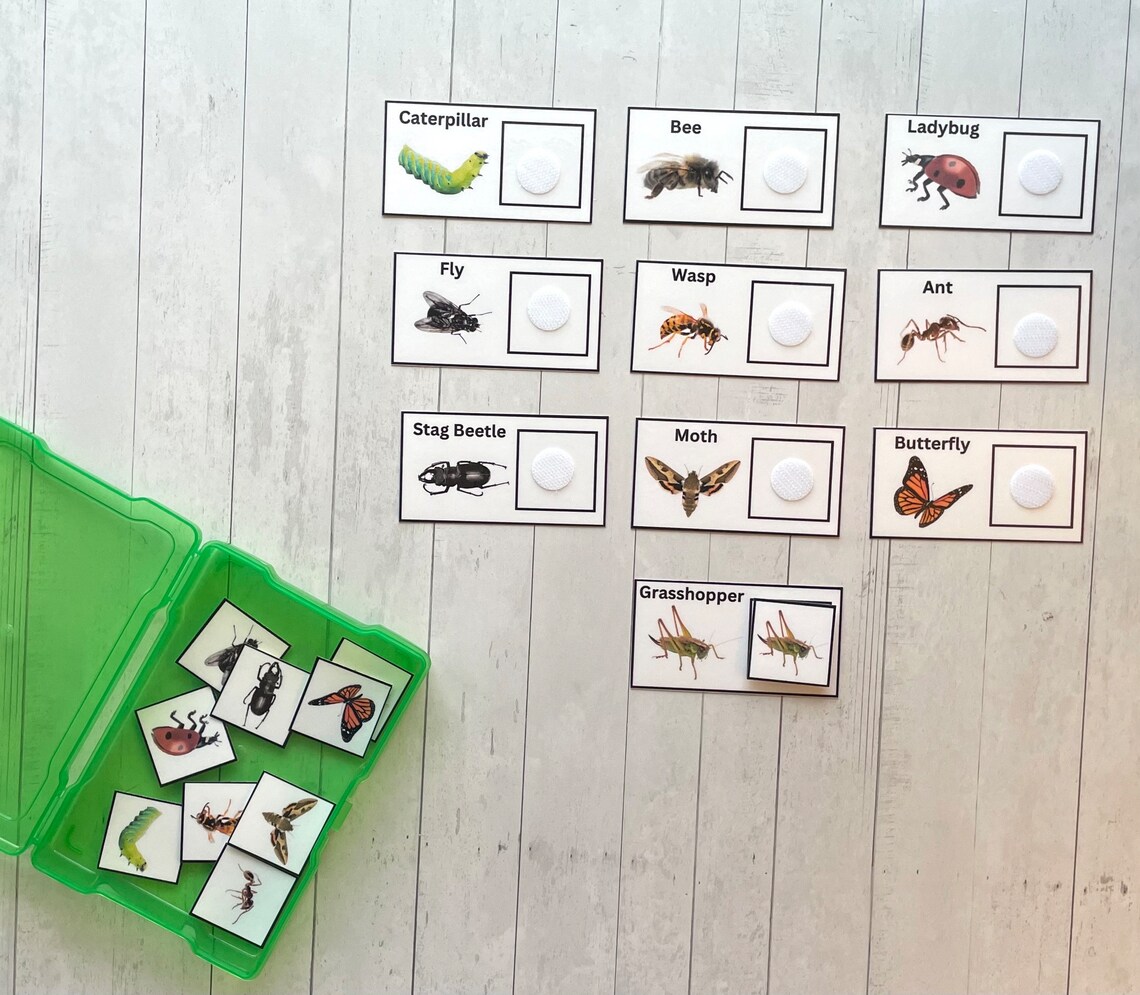 Insect Matching- Task Box Activity Set- for Toddlers, Preschool ...