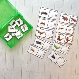 Insect Matching- Task Box Activity Set- for Toddlers, Preschool ...