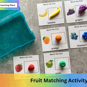 Fruit Matching Activity Cards- Instant Download- Montessori Learning ...