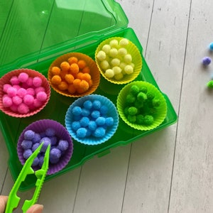 Counting and Color Sorting With Mini Poms Task Box Activity Set ...