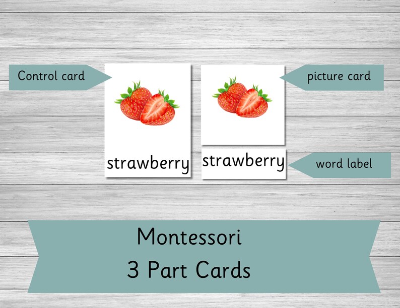 Animals Montessori 3 Part Flash Cards Montessori Toys and - Etsy