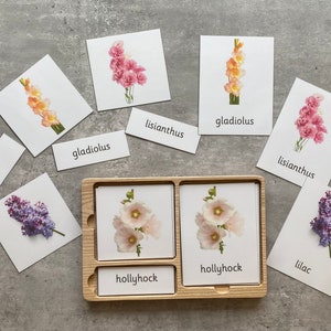 Flowers- Montessori 3 Part Flash Cards- Real Pictures- Editable PDF ...