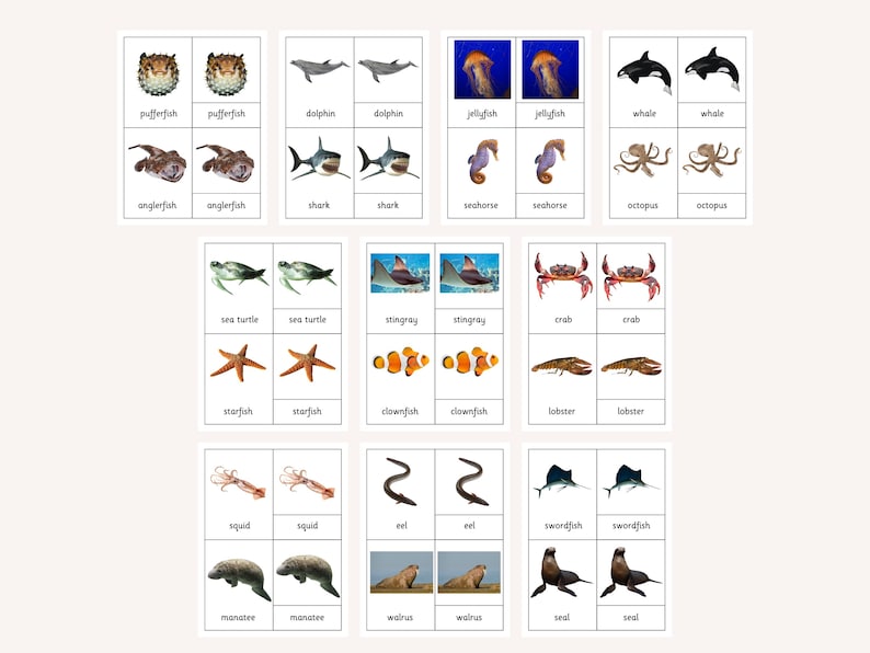 3 Part Cards- Sea Animals- Montessori Nomenclature Cards- Flash Cards ...