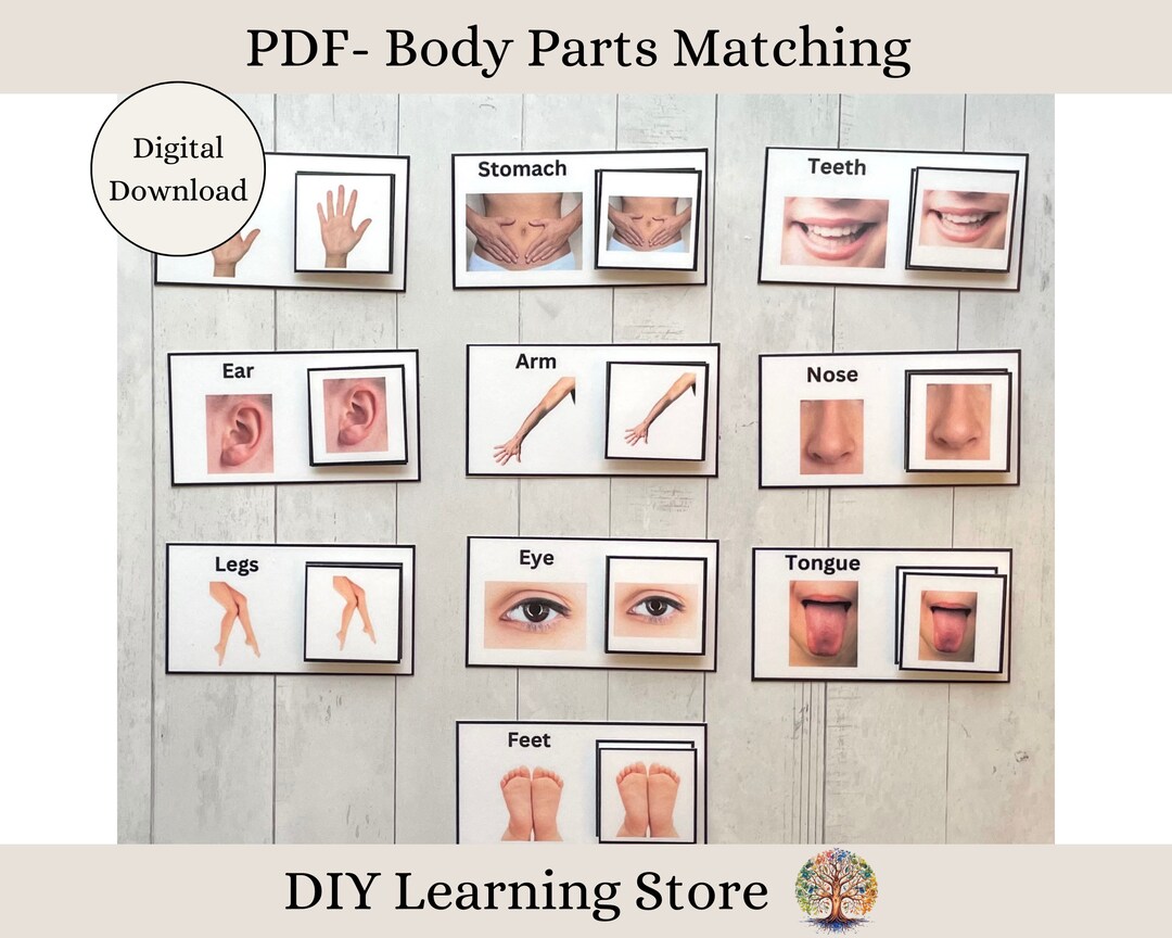 Body Parts Matching- Task Box Activity Set- for Toddlers, Preschool ...