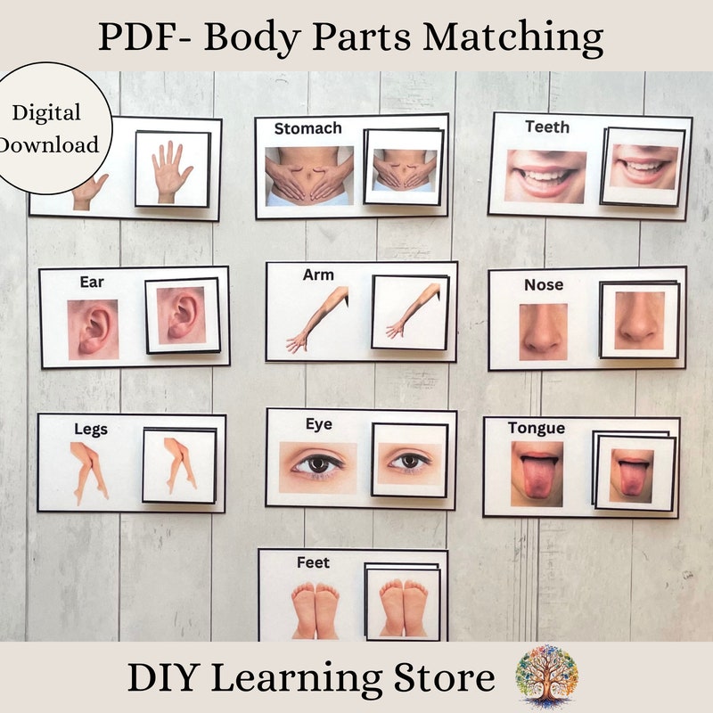 Human Body Parts Matching Game - Etsy UK