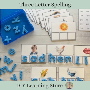 Spelling Practice-3 Letter Words-task Box- Montessori Learning Toy for ...